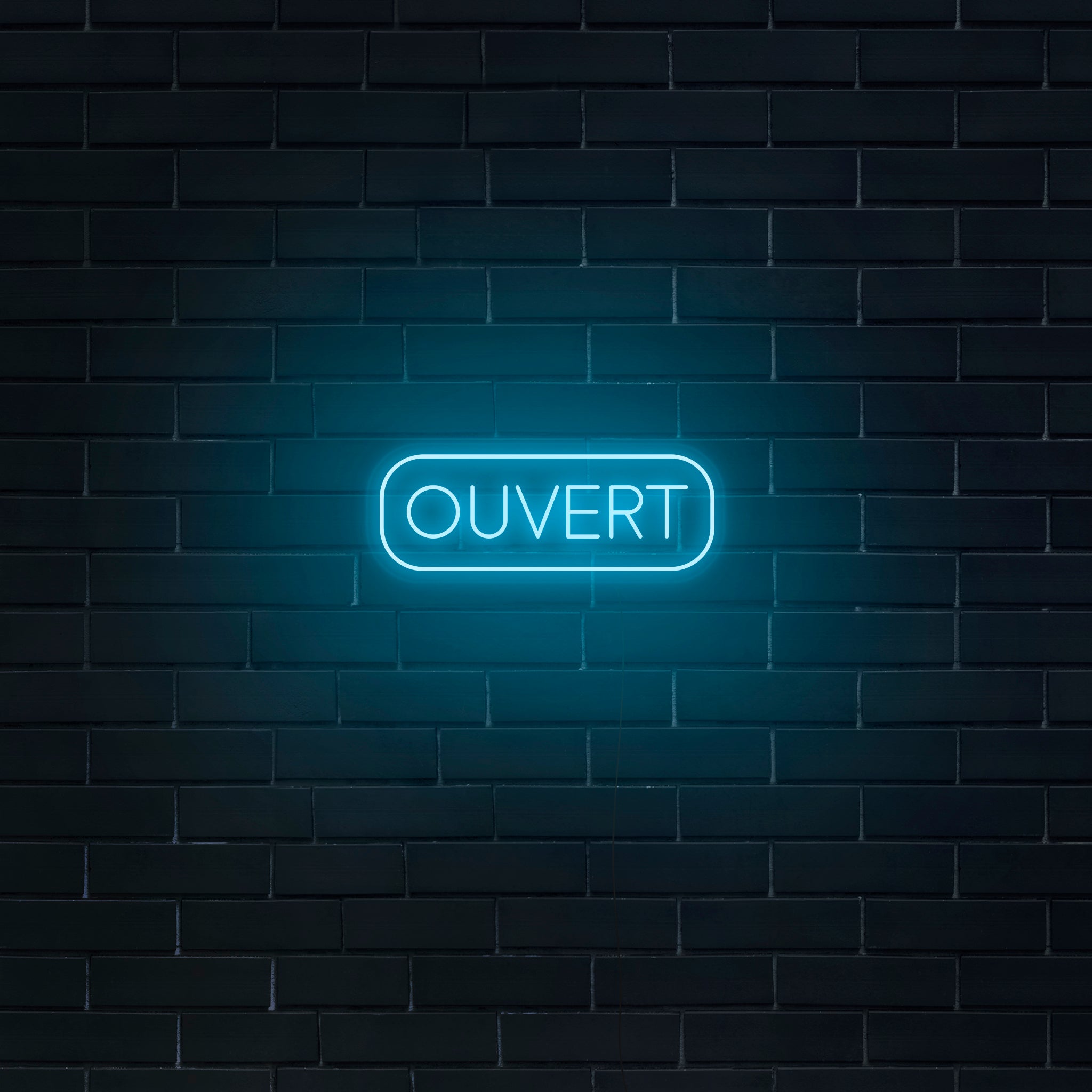 'Ouvert' Neon Sign | Premium Open Sign In French – Nuwave Neon