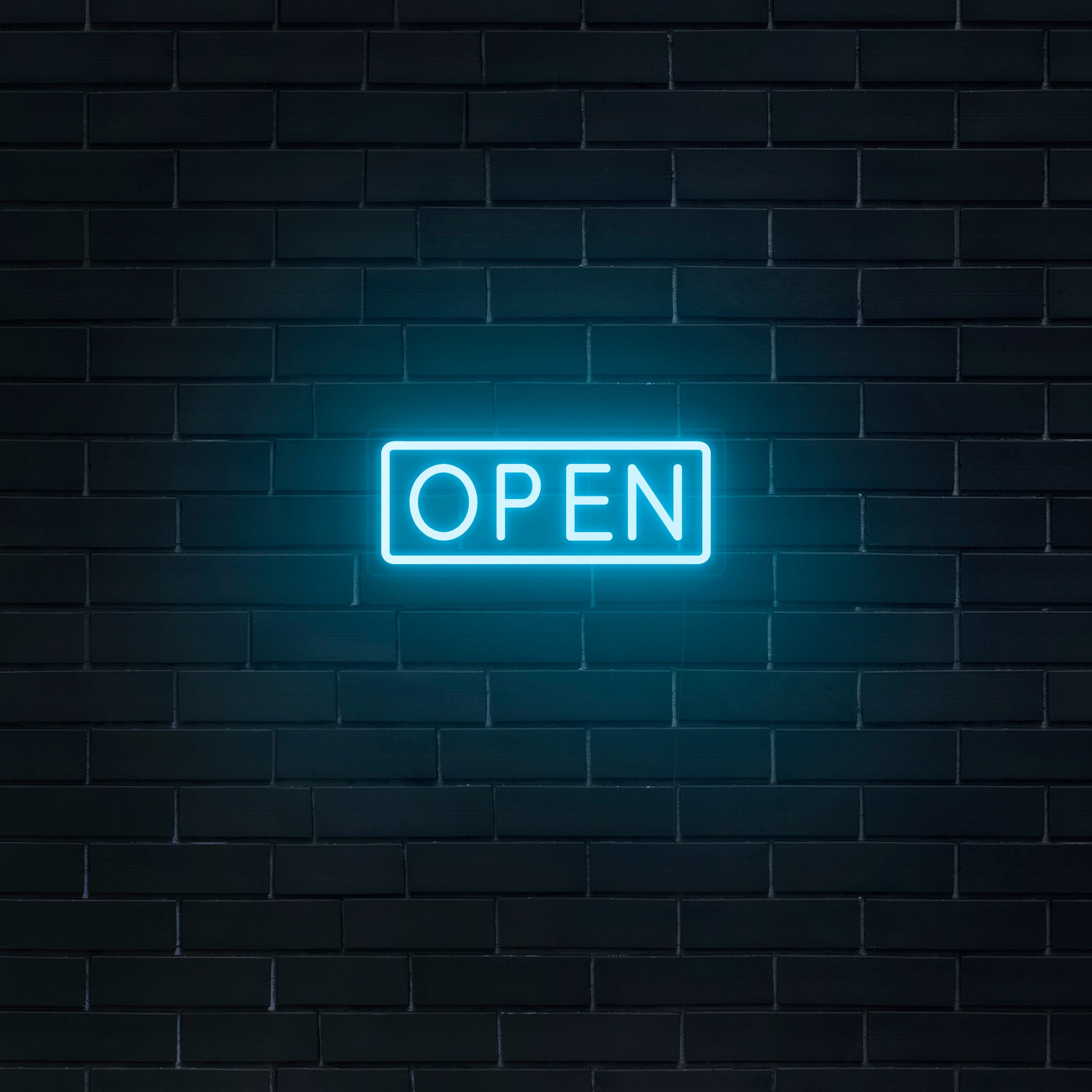 Open Closed Neon Sign